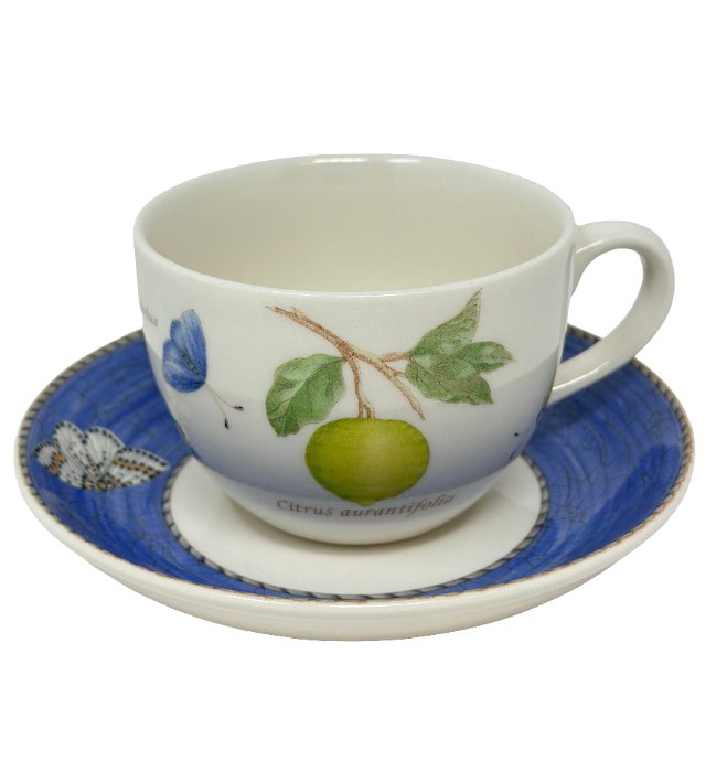 Wedgwood Sarah's Garden Cup & Saucer - Kitchen Smart