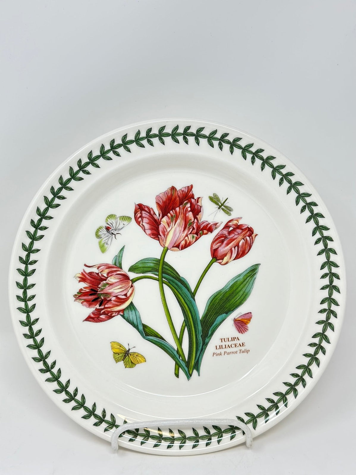 Portmeirion Botanic Garden Tulipa Liliaceae (Pink Parrot Tulip) Plate ...
